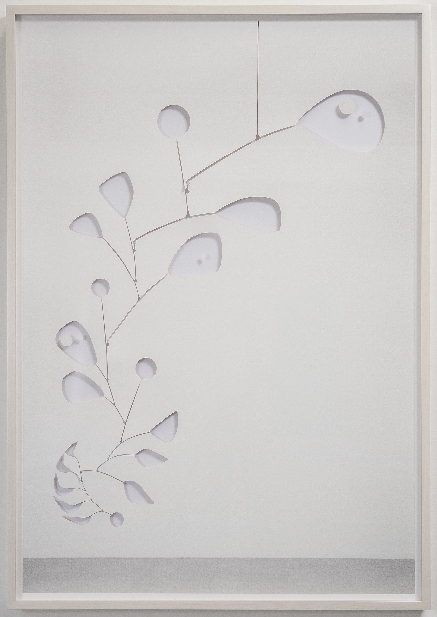 Artists | The Cohen Family Collection